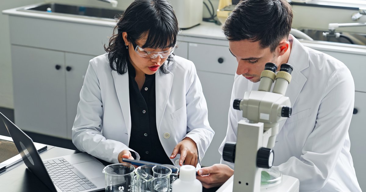 Reference Laboratories - BfR