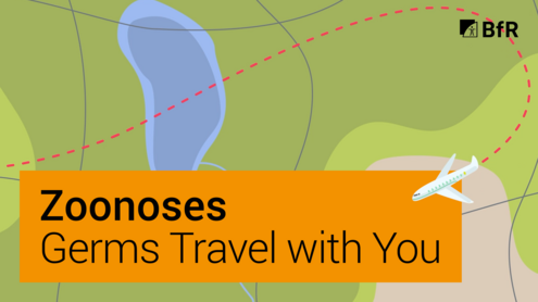 Zoonoses: Germs Travel with You - BfR