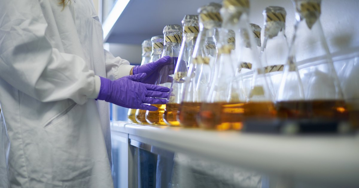 Chemical safety - BfR