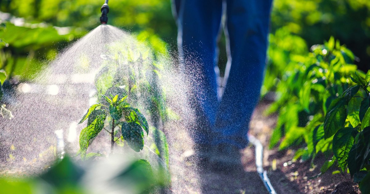 Plant protection products - BfR